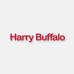 Harry Buffalo Menu, Prices and Locations - Central Menus