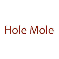 Hole Mole Menu, Prices And Locations